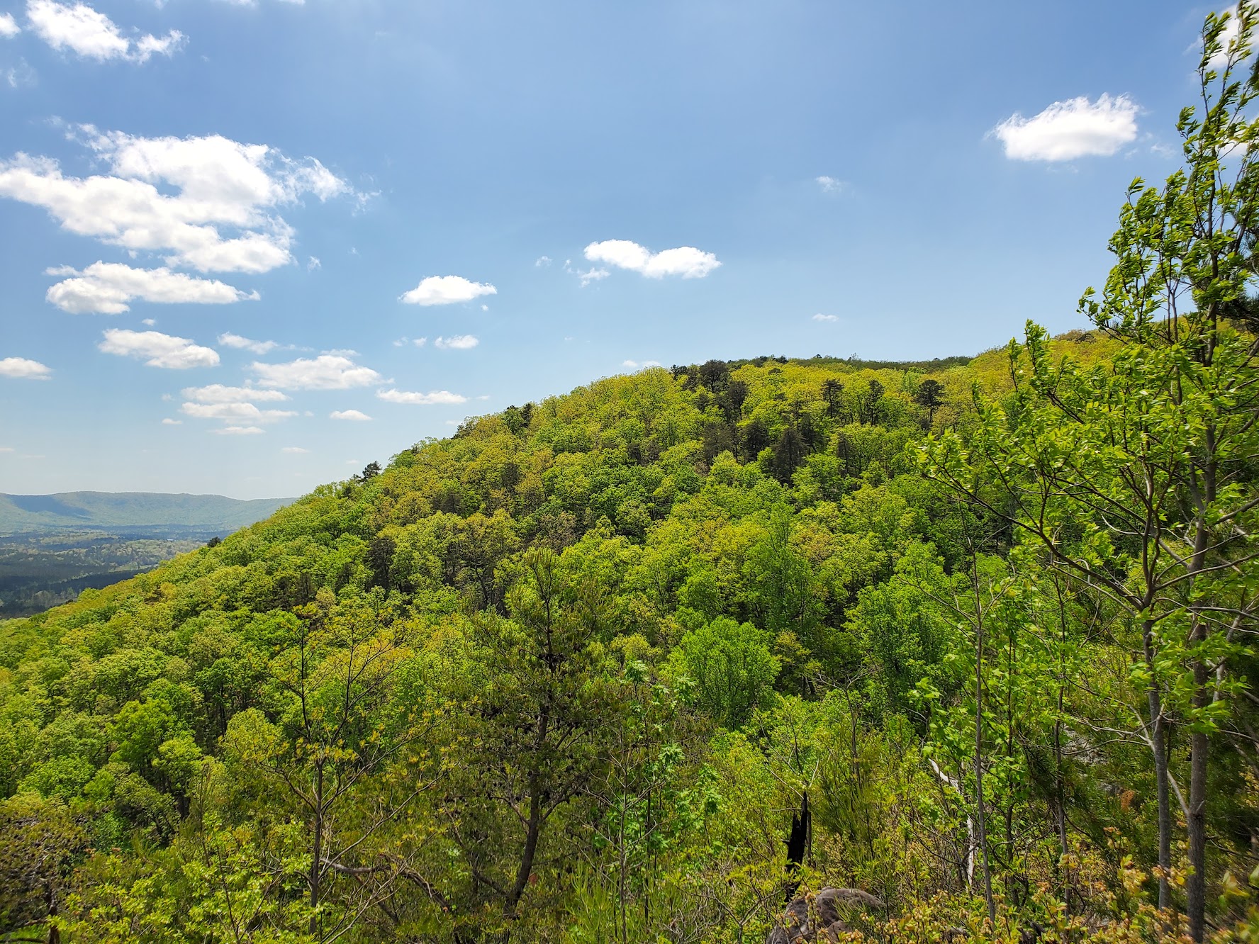 Best Outdoor Activities for Summer in Gordon County