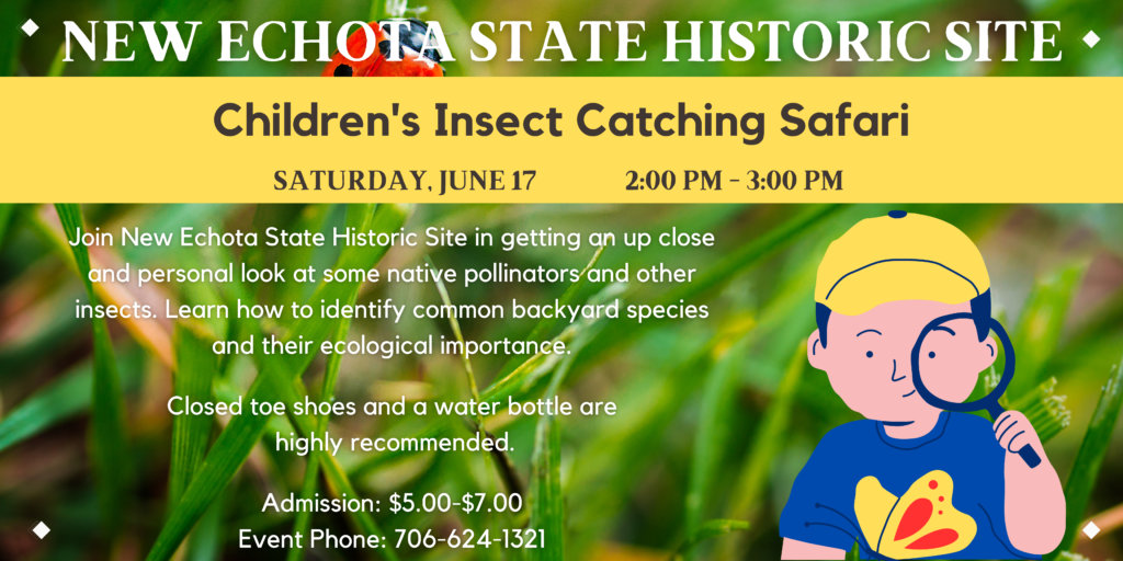 Children's Insect Catching Safari | Explore Calhoun Gordon County