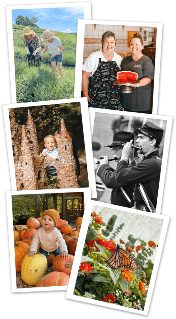 Explore Gordon County, GA | Things To Do in Calhoun
